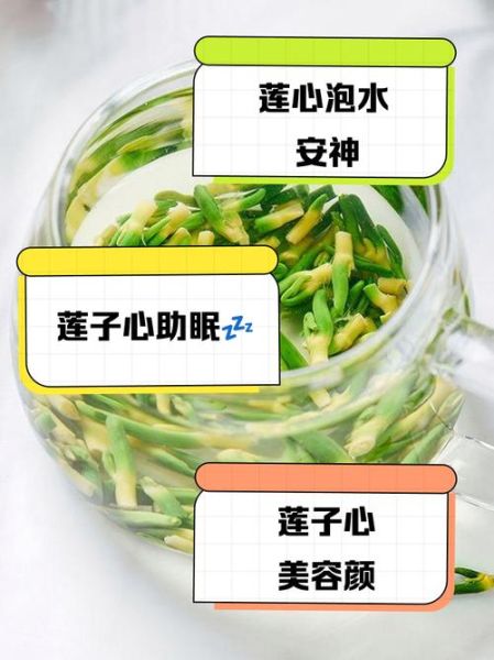 莲子心泡水喝的用量_莲子心一天泡多少粒合适-第2张图片-山城妙识