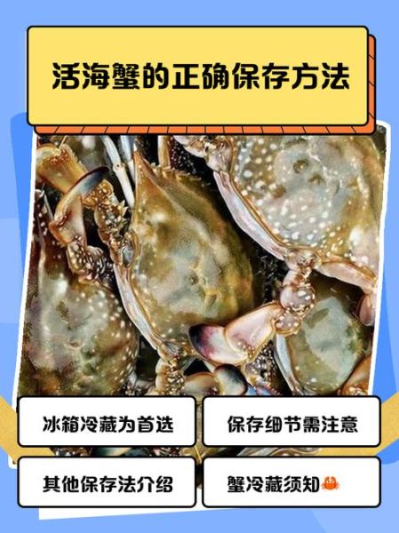 螃蟹怎么保存能活几天_活螃蟹冷藏还是冷冻-第2张图片-山城妙识 螃蟹怎么保存能活几天_活螃蟹冷藏还是冷冻-第2张图片-山城妙识