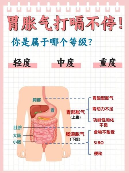 胃胀气是什么原因引起的_胃胀气怎么快速排气-第1张图片-山城妙识