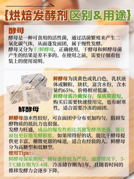 泡打粉和酵母有什么区别_哪个更健康-第2张图片-山城妙识