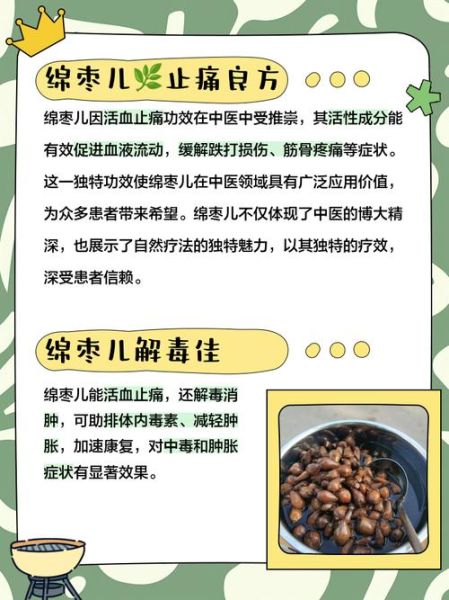 枣糕下野病弃疗是什么_枣糕下野病弃疗怎么治-第3张图片-山城妙识