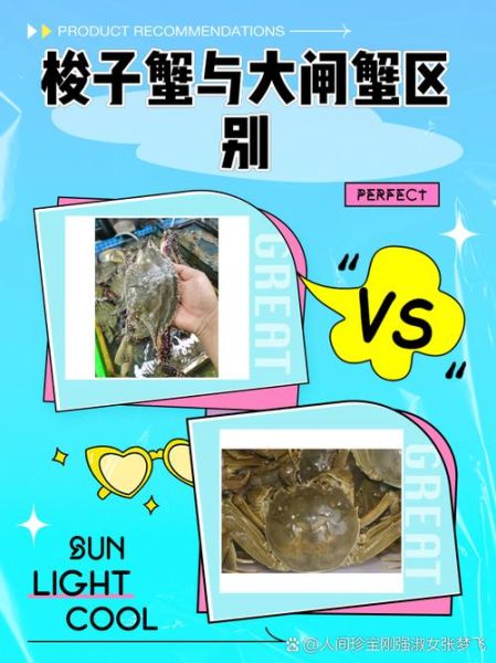 大闸蟹和梭子蟹有什么区别_哪个更好吃-第1张图片-山城妙识