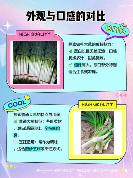 葱的品种图片大全_如何区分常见葱类-第2张图片-山城妙识
