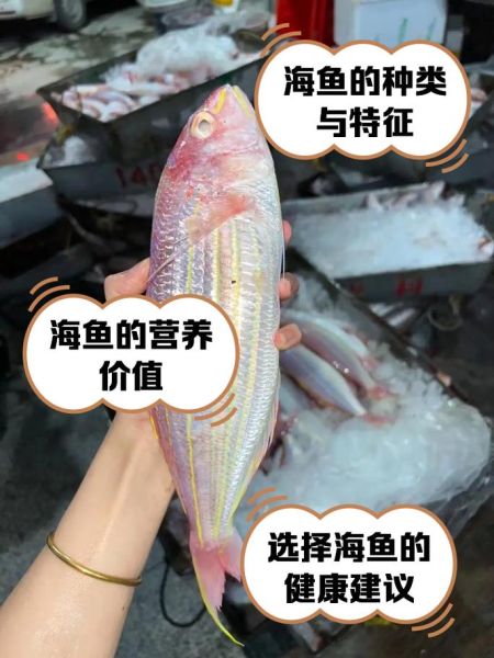 海鱼图片大全及名称_常见海鱼有哪些-第1张图片-山城妙识 海鱼图片大全及名称_常见海鱼有哪些-第1张图片-山城妙识