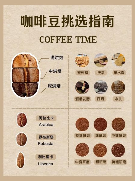 世界十大顶级咖啡有哪些_如何挑选顶级咖啡豆-第3张图片-山城妙识 世界十大顶级咖啡有哪些_如何挑选顶级咖啡豆-第3张图片-山城妙识
