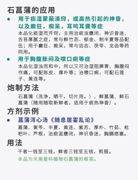 记忆力减退吃什么中药_远志石菖蒲怎么服用-第1张图片-山城妙识