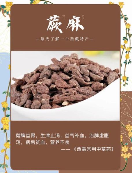 青海蕨麻的功效与作用_蕨麻怎么吃效果最好-第1张图片-山城妙识