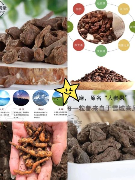 青海蕨麻的功效与作用_蕨麻怎么吃效果最好-第3张图片-山城妙识