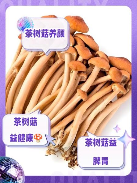 茶树菇什么人不能吃_茶树菇禁忌人群有哪些-第3张图片-山城妙识