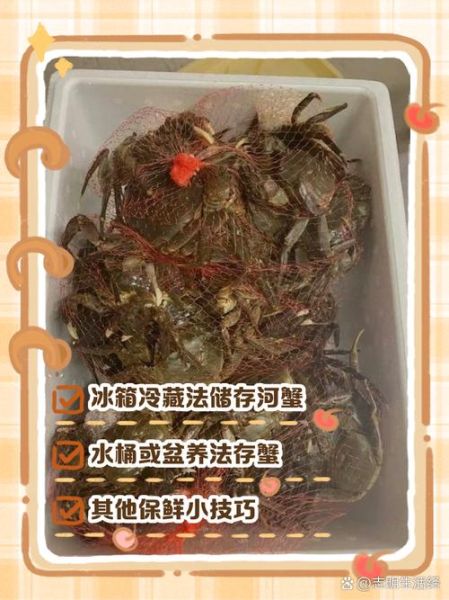 活螃蟹怎么保存_活螃蟹怎么吃法-第2张图片-山城妙识 活螃蟹怎么保存_活螃蟹怎么吃法-第2张图片-山城妙识