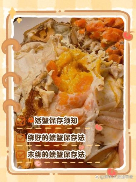 活螃蟹怎么保存_活螃蟹怎么吃法-第3张图片-山城妙识 活螃蟹怎么保存_活螃蟹怎么吃法-第3张图片-山城妙识