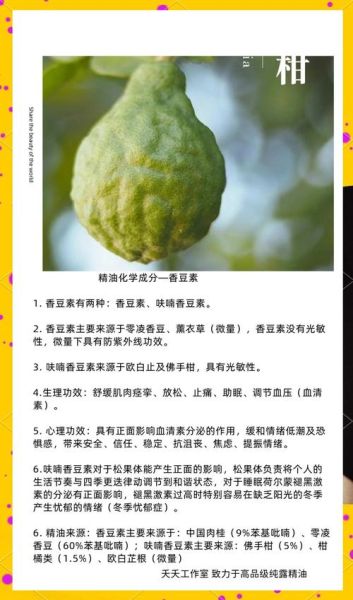 佛手柑精油的功效与作用_佛手柑精油怎么用-第2张图片-山城妙识 佛手柑精油的功效与作用_佛手柑精油怎么用-第2张图片-山城妙识