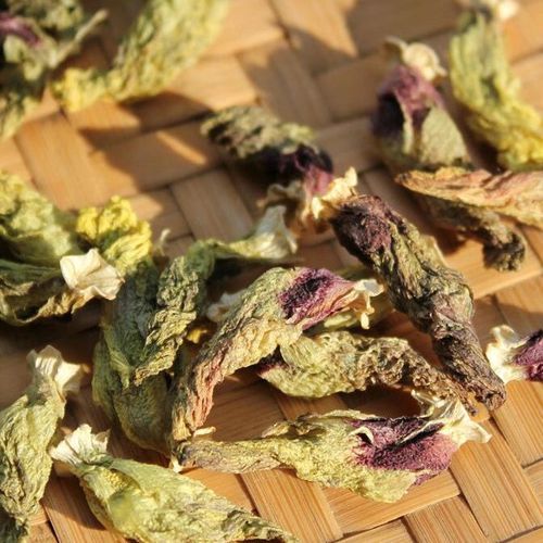 黄秋葵干茶有什么功效_黄秋葵干茶能降血糖吗-第1张图片-山城妙识 黄秋葵干茶有什么功效_黄秋葵干茶能降血糖吗-第1张图片-山城妙识