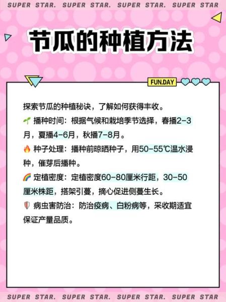 节瓜种子怎么种_节瓜种子发芽时间-第2张图片-山城妙识 节瓜种子怎么种_节瓜种子发芽时间-第2张图片-山城妙识