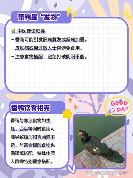 土番鸭图片_如何区分土番鸭与普通鸭-第2张图片-山城妙识 土番鸭图片_如何区分土番鸭与普通鸭-第2张图片-山城妙识