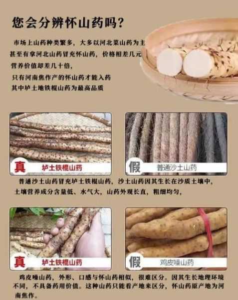 毛山药和铁棍山药哪个营养高_区别与功效对比-第3张图片-山城妙识