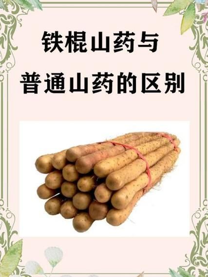 毛山药和铁棍山药哪个营养高_区别与功效对比-第1张图片-山城妙识
