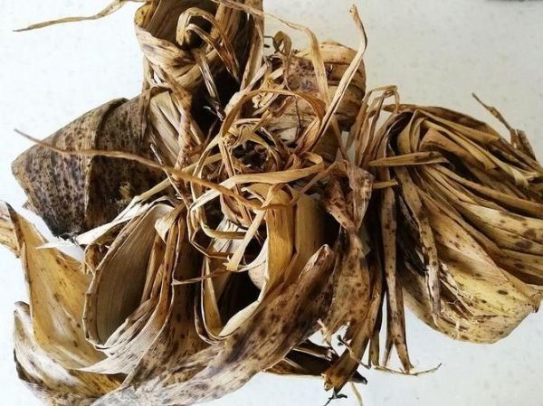 粽子叶是什么垃圾_粽子叶属于干垃圾还是湿垃圾-第3张图片-山城妙识 粽子叶是什么垃圾_粽子叶属于干垃圾还是湿垃圾-第3张图片-山城妙识