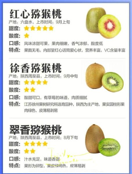 猕猴桃的药用价值_猕猴桃有哪些功效-第2张图片-山城妙识 猕猴桃的药用价值_猕猴桃有哪些功效-第2张图片-山城妙识