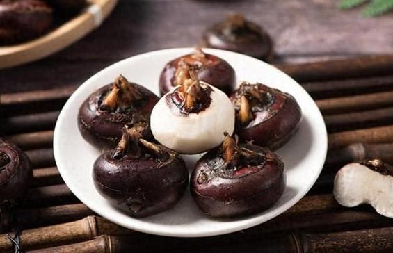 马蹄是什么样子_马蹄结构特征详解-第3张图片-山城妙识