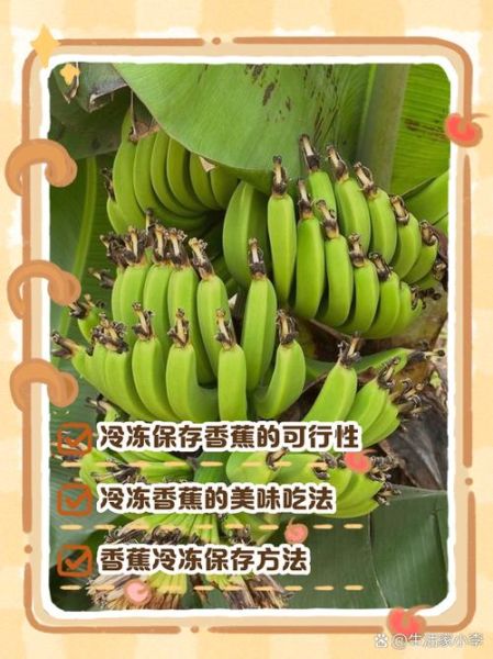 香蕉吃不完怎么办_简单做法-第2张图片-山城妙识 香蕉吃不完怎么办_简单做法-第2张图片-山城妙识