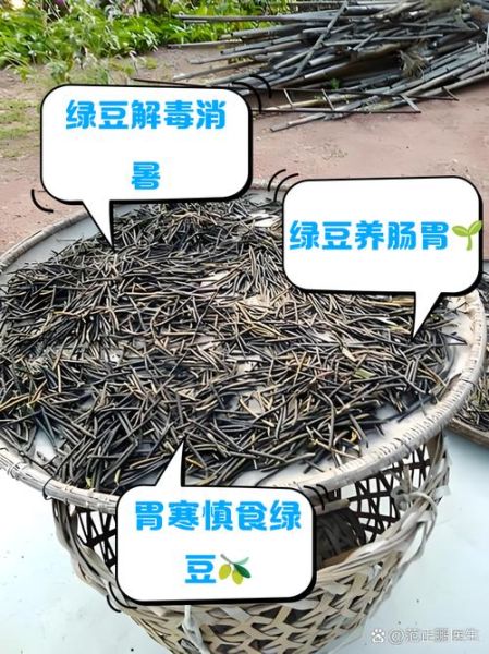 绿豆的功效与禁忌_哪些人不能吃绿豆-第1张图片-山城妙识 绿豆的功效与禁忌_哪些人不能吃绿豆-第1张图片-山城妙识