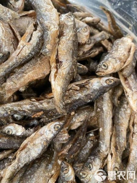 淡水小鱼干怎么做好吃_淡水小鱼干的家常做法-第2张图片-山城妙识 淡水小鱼干怎么做好吃_淡水小鱼干的家常做法-第2张图片-山城妙识