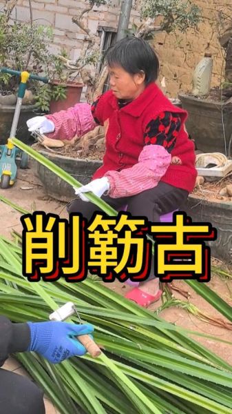 包粽子的绳子叫什么_粽绳用什么材料最好-第1张图片-山城妙识