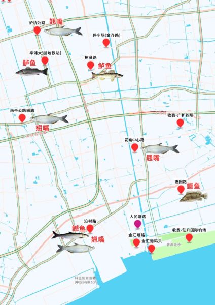 上海钓鱼网_哪里能免费野钓-第3张图片-山城妙识