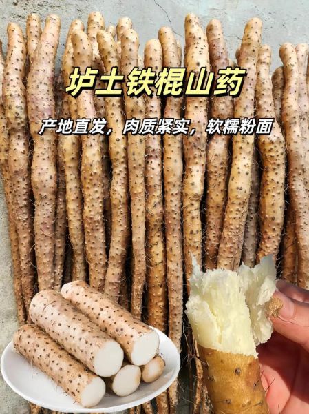 淮山药产地在哪里_正宗淮山药哪里买-第1张图片-山城妙识