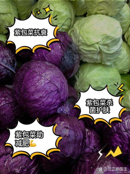 紫包菜怎么保存_紫包菜可以生吃吗-第1张图片-山城妙识