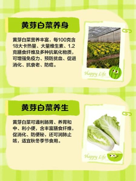 小黄白菜怎么炒好吃_小黄白菜的营养价值-第1张图片-山城妙识 小黄白菜怎么炒好吃_小黄白菜的营养价值-第1张图片-山城妙识