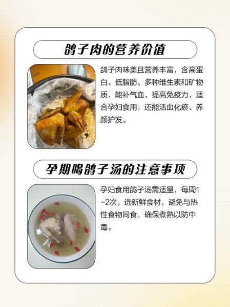鸽子肉的营养价值及功效与作用_孕妇能吃吗-第1张图片-山城妙识 鸽子肉的营养价值及功效与作用_孕妇能吃吗-第1张图片-山城妙识