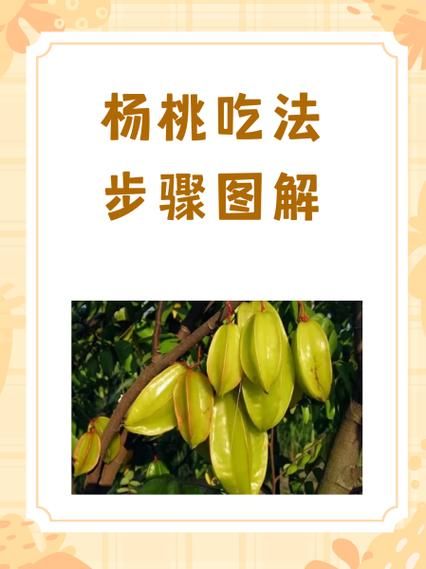 杨桃怎么吃最方便_杨桃要不要削皮-第1张图片-山城妙识