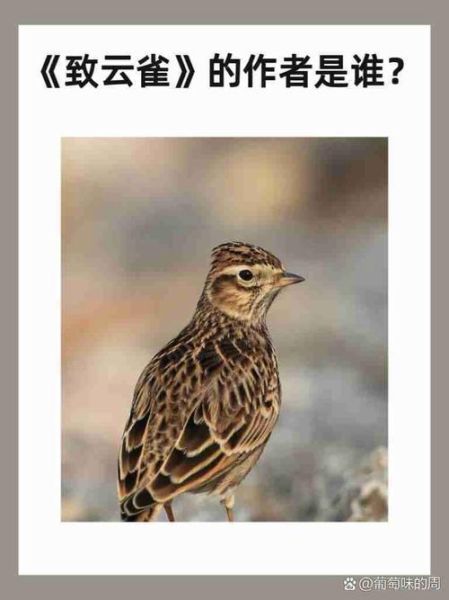 雪莱致云雀表达了什么情感_致云雀象征意义-第3张图片-山城妙识 雪莱致云雀表达了什么情感_致云雀象征意义-第3张图片-山城妙识