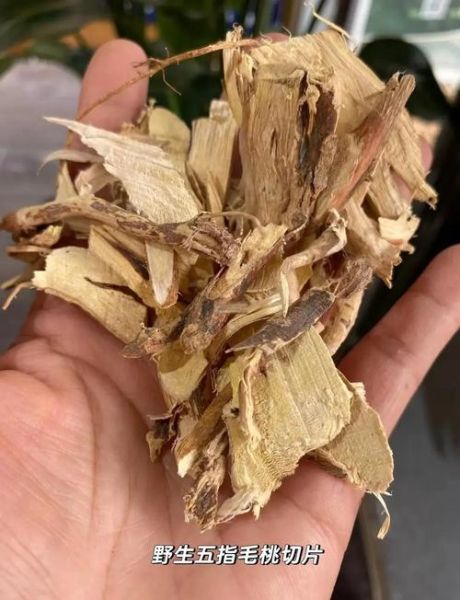 假五指毛桃图片大全_如何辨别真假五指毛桃-第2张图片-山城妙识