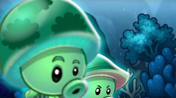 海蘑菇图片大全_海蘑菇长什么样-第3张图片-山城妙识