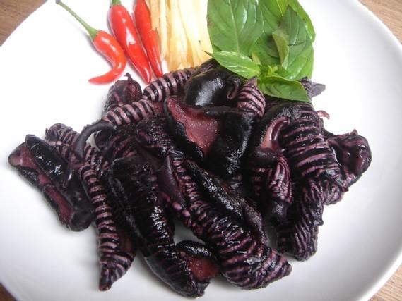 海蘑菇图片大全_海蘑菇长什么样-第2张图片-山城妙识