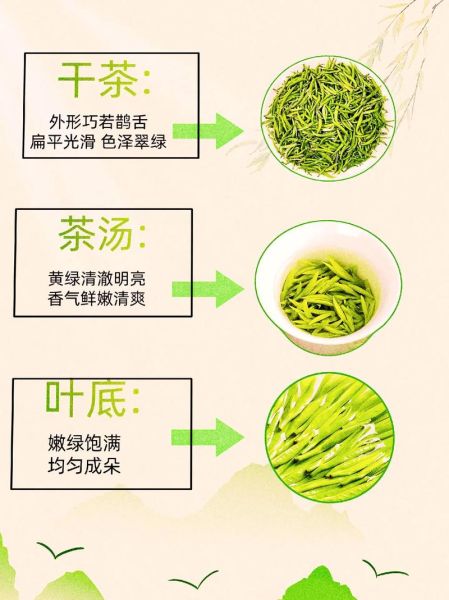 雀舌茶叶的功效与作用_雀舌茶适合什么人喝-第1张图片-山城妙识