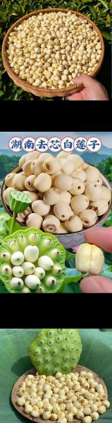 莲子图片大全大图_莲蓬莲子怎么保存-第2张图片-山城妙识 莲子图片大全大图_莲蓬莲子怎么保存-第2张图片-山城妙识