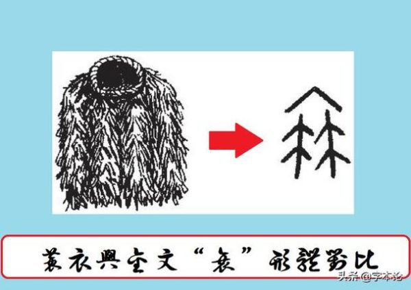 蓑怎么读_蓑字是什么意思-第2张图片-山城妙识 蓑怎么读_蓑字是什么意思-第2张图片-山城妙识