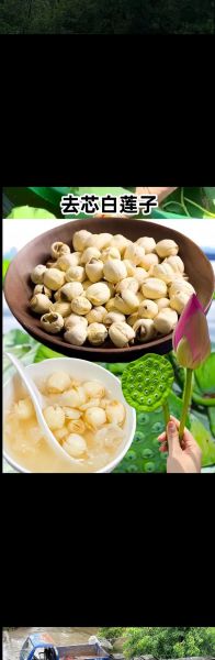 莲子图片大全大图_莲蓬莲子怎么保存-第3张图片-山城妙识 莲子图片大全大图_莲蓬莲子怎么保存-第3张图片-山城妙识
