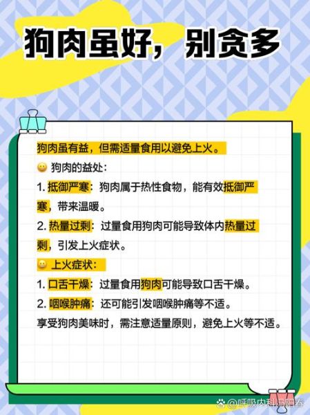 狗肉不能和什么一起吃_吃狗肉有哪些禁忌-第1张图片-山城妙识 狗肉不能和什么一起吃_吃狗肉有哪些禁忌-第1张图片-山城妙识