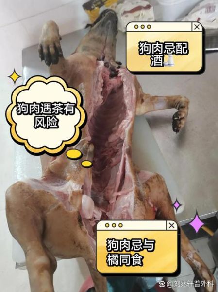 狗肉不能和什么一起吃_吃狗肉有哪些禁忌-第3张图片-山城妙识 狗肉不能和什么一起吃_吃狗肉有哪些禁忌-第3张图片-山城妙识