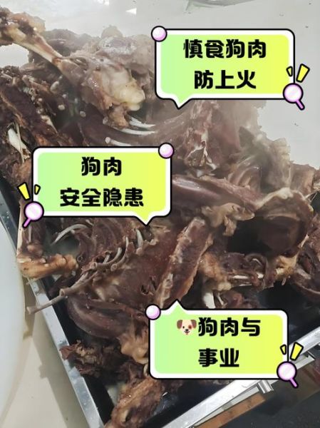 狗肉不能和什么一起吃_吃狗肉有哪些禁忌-第2张图片-山城妙识 狗肉不能和什么一起吃_吃狗肉有哪些禁忌-第2张图片-山城妙识