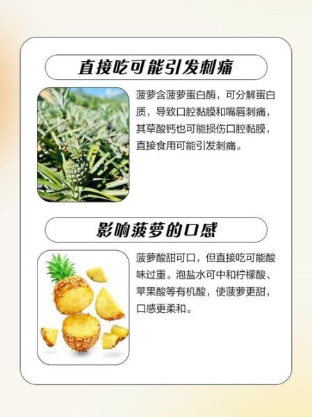 菠萝不用盐水吃了咋办_嘴麻刺痛怎么缓解-第2张图片-山城妙识