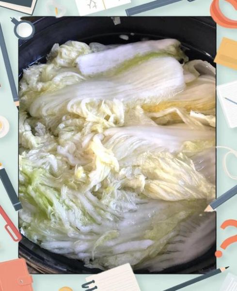 朝鲜辣白菜怎么做_正宗做法步骤详解-第3张图片-山城妙识