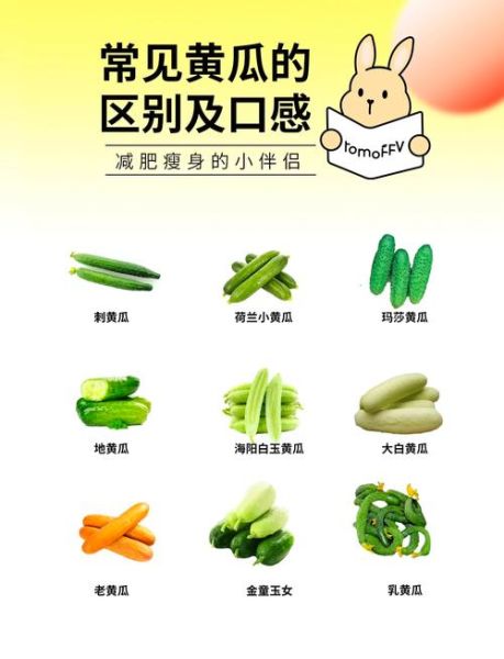 黄瓜图片大全_黄瓜品种有哪些-第1张图片-山城妙识