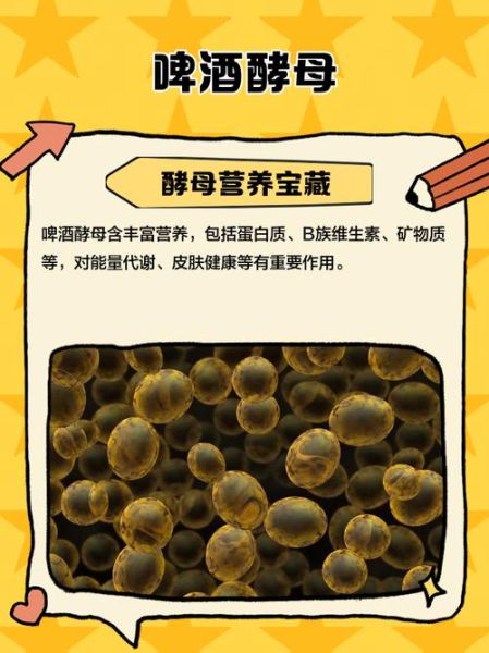 啤酒酵母的作用_啤酒酵母怎么吃-第2张图片-山城妙识