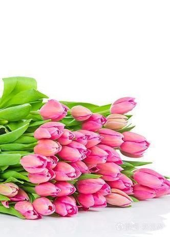 恸怎么读_恸与痛的区别-第1张图片-山城妙识